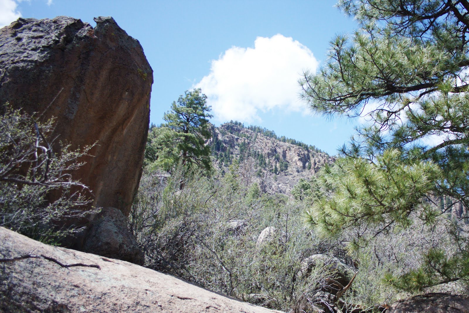 A Day In the Life Of: Fat Man's Loop, Flagstaff, AZ