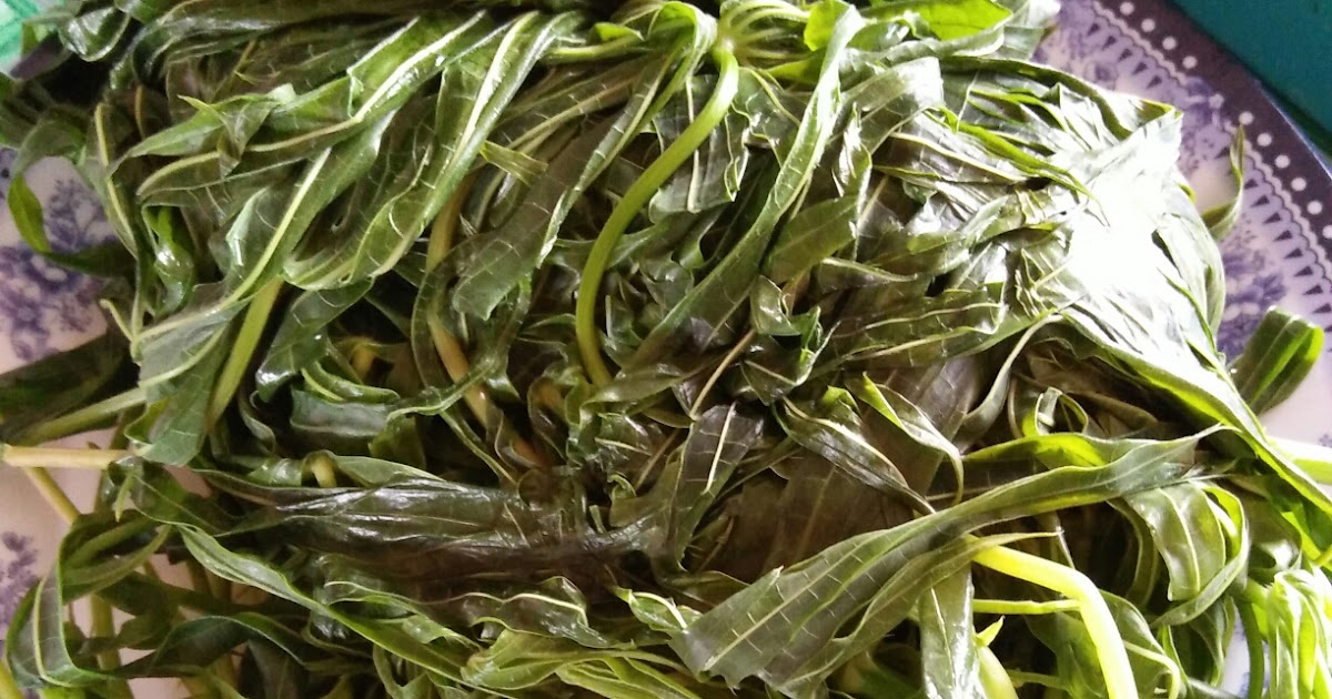 Ulam Pucuk Ubi Penaik Selera Diri