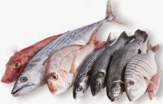 De Tout et de Rien: Reconnaître la fraîcheur du poisson