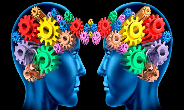 BLOG PSICOLOGICO: FUNCIONAMIENTO DE LOS PROCESOS PSICOLOGICOS