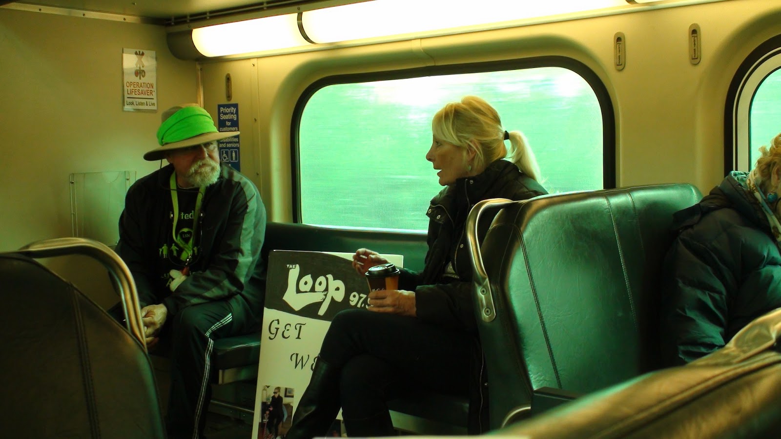 Illinois Worldwide Lyme Disease Awareness Protest