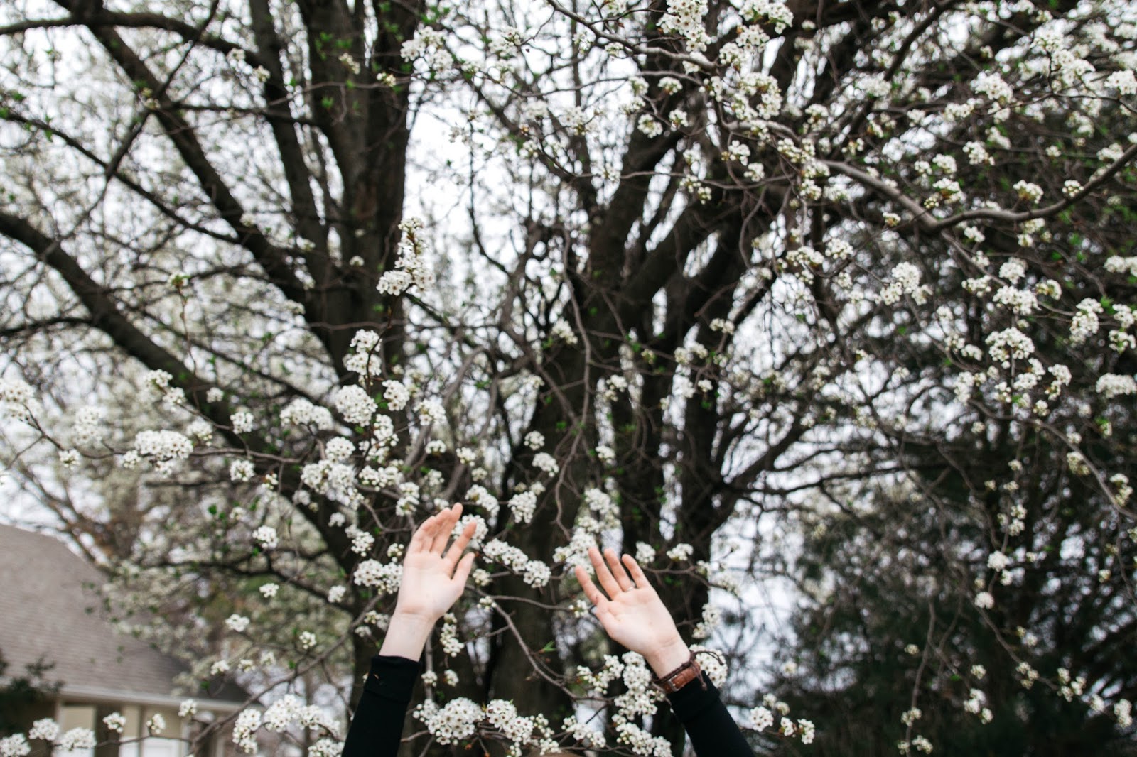 rylee beck | photographer: emma, on an overcast spring afternoon