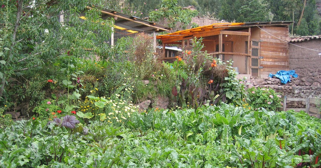 Grow a Complete Diet From a Biointensive Garden