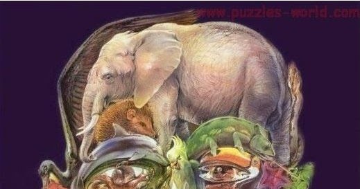 Identify the Zoo Animals in the Picture | Puzzles World