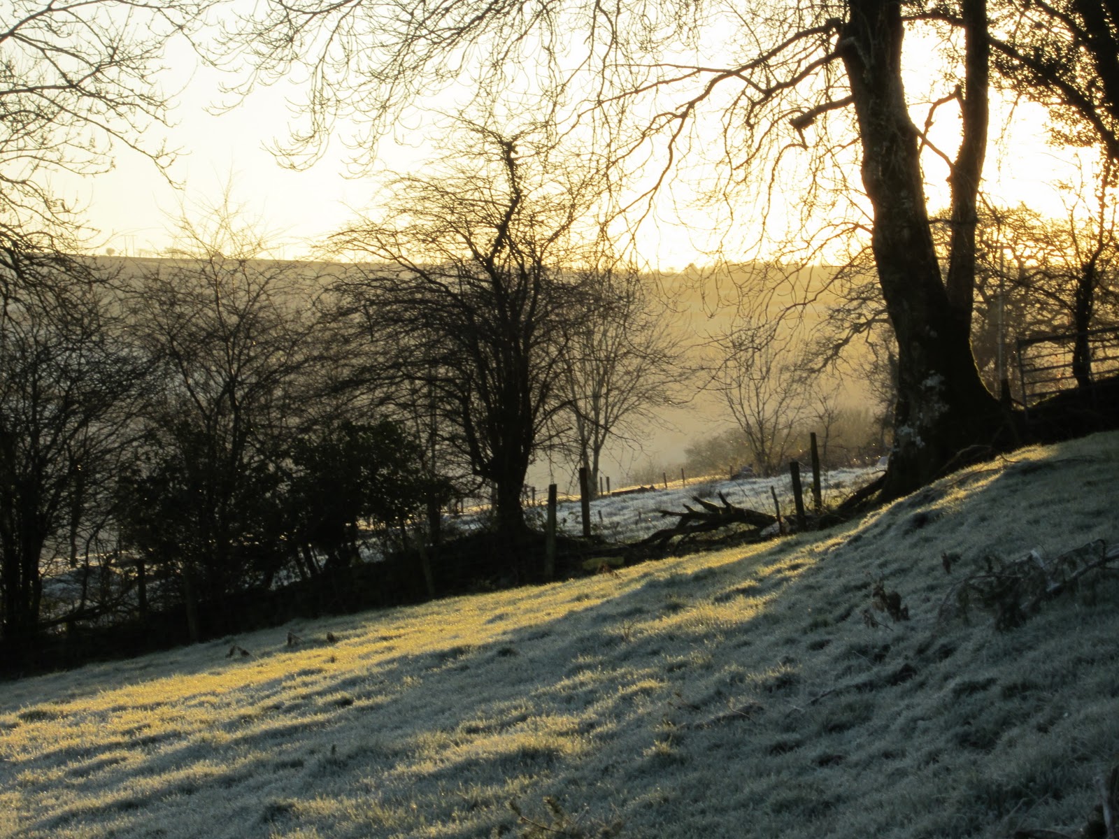Life on a Welsh Farm: A Good Frost, Winter Farming