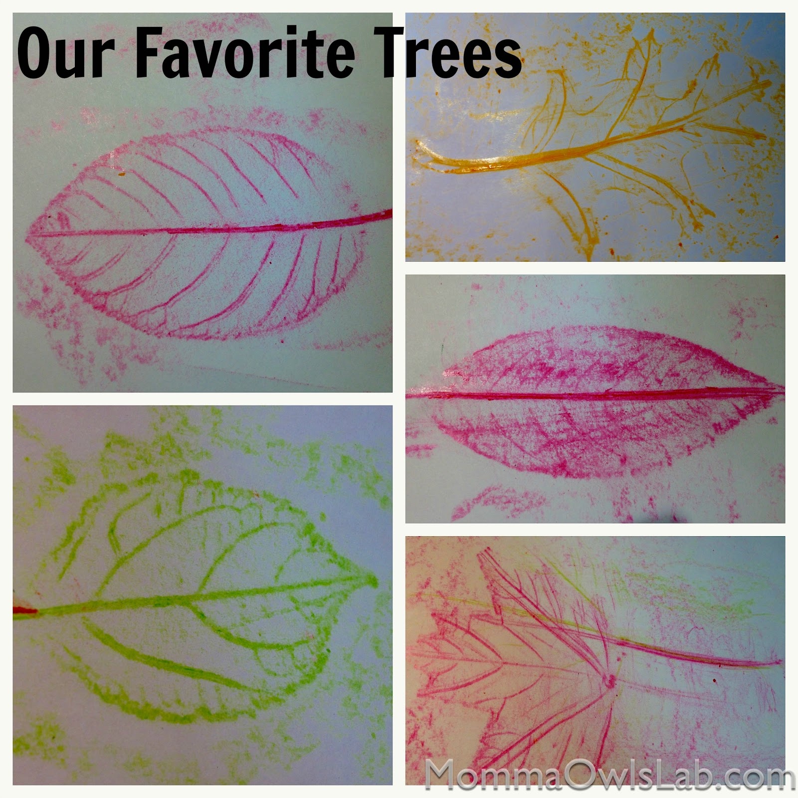 Momma Owl's Lab: October 2012