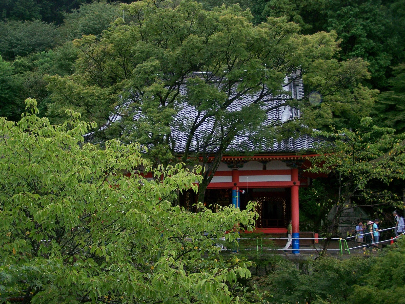 Dust tracks on a tatami: First Impressions of Japan