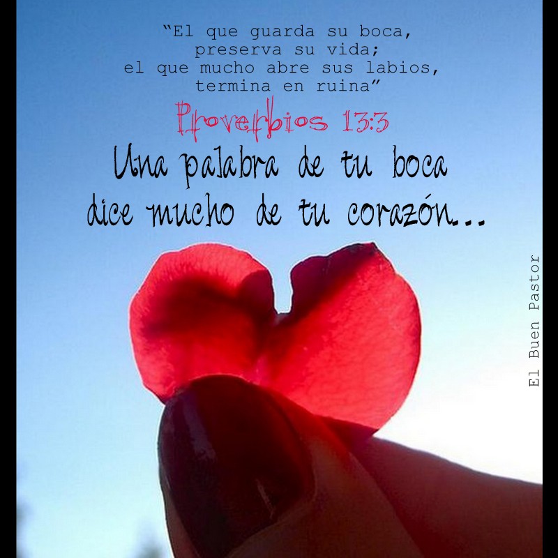 YO SOY EL BUEN PASTOR: Proverbios 13:3