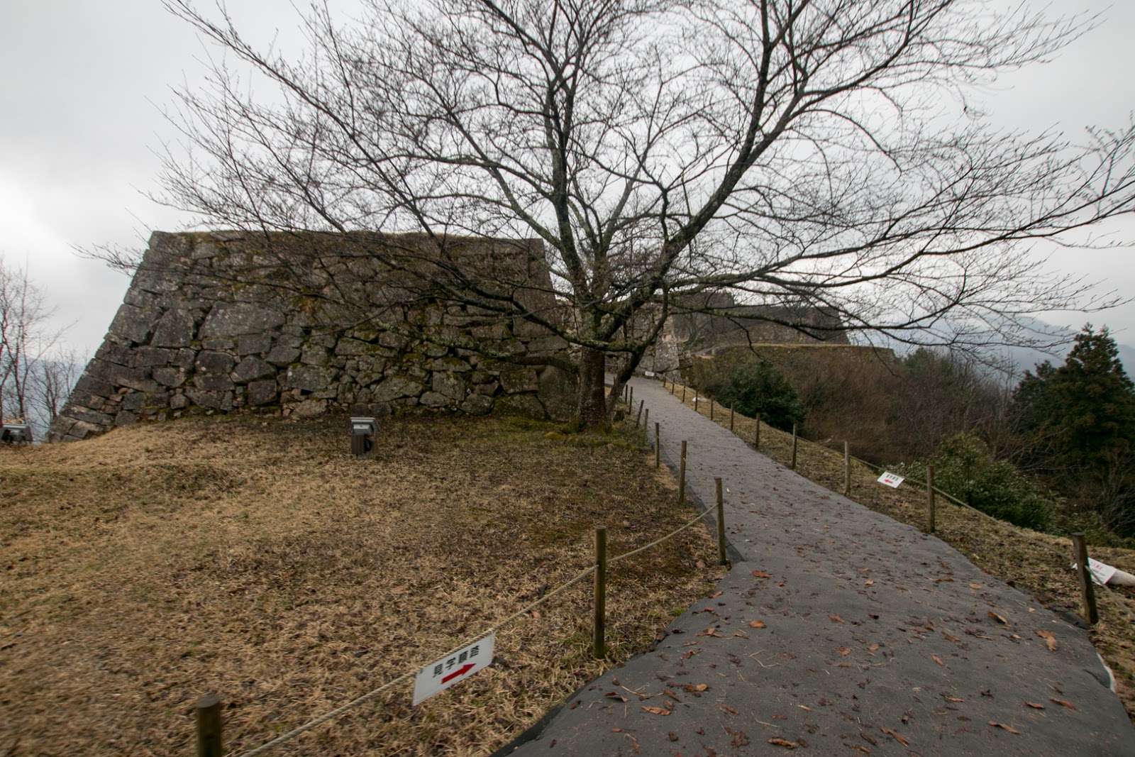 Takeda Castle -Castle guarded vital area of Toyotomi government- | Ken ...