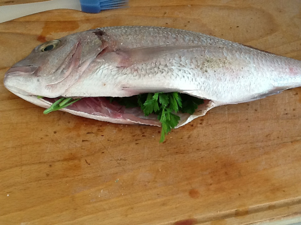 Orada/Brancin u rerni