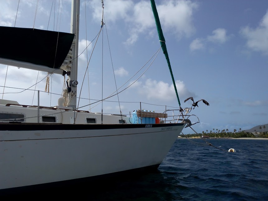 Salt Whistle Sailing