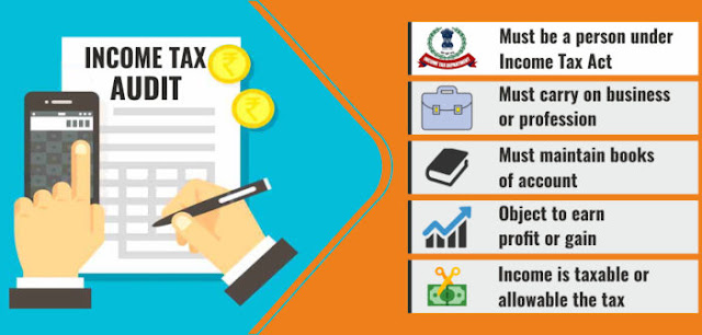Income Tax Audit