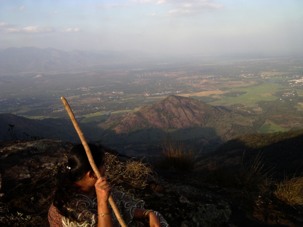 Nature Enthus - DLC : Rajathottam - The Ruler's Choice