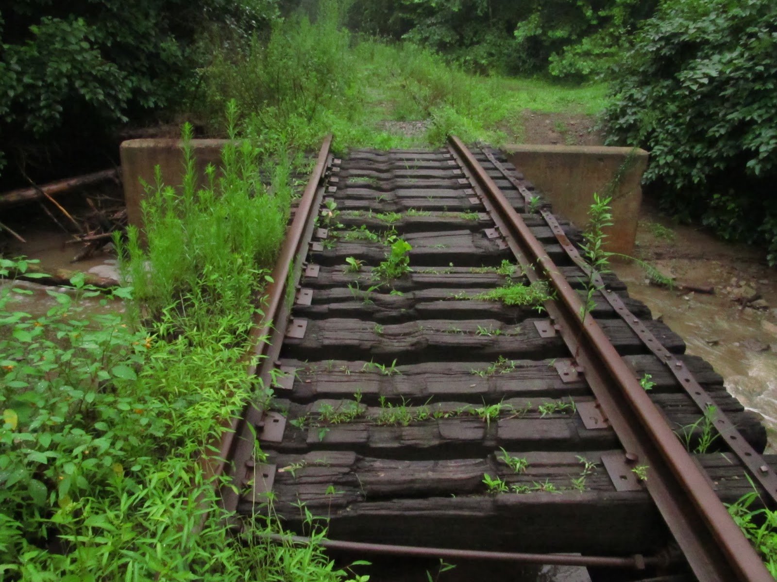Old Industry of Southwestern Pennsylvania : Turtle Creek Branch Of The ...