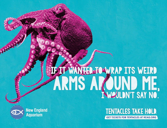 Aquarium News and Updates