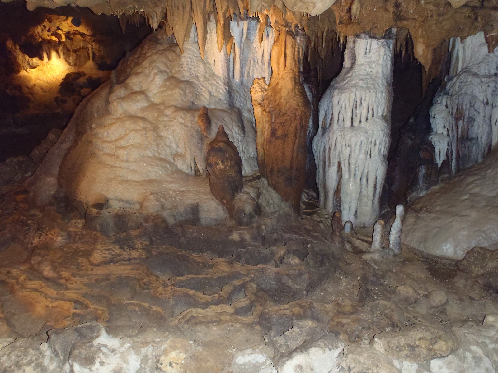 Biological Tales from the Brine Queen: Florida Caverns State Park