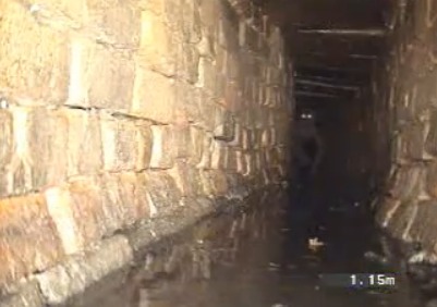 Aliens in Our Sewer System!