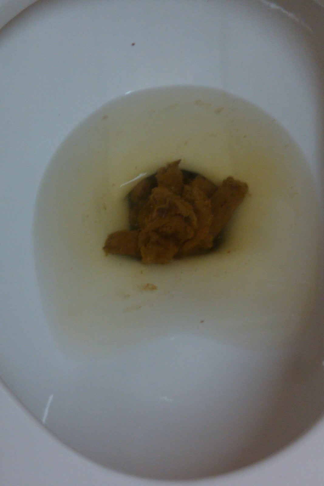 Bristol Chart: March 2011