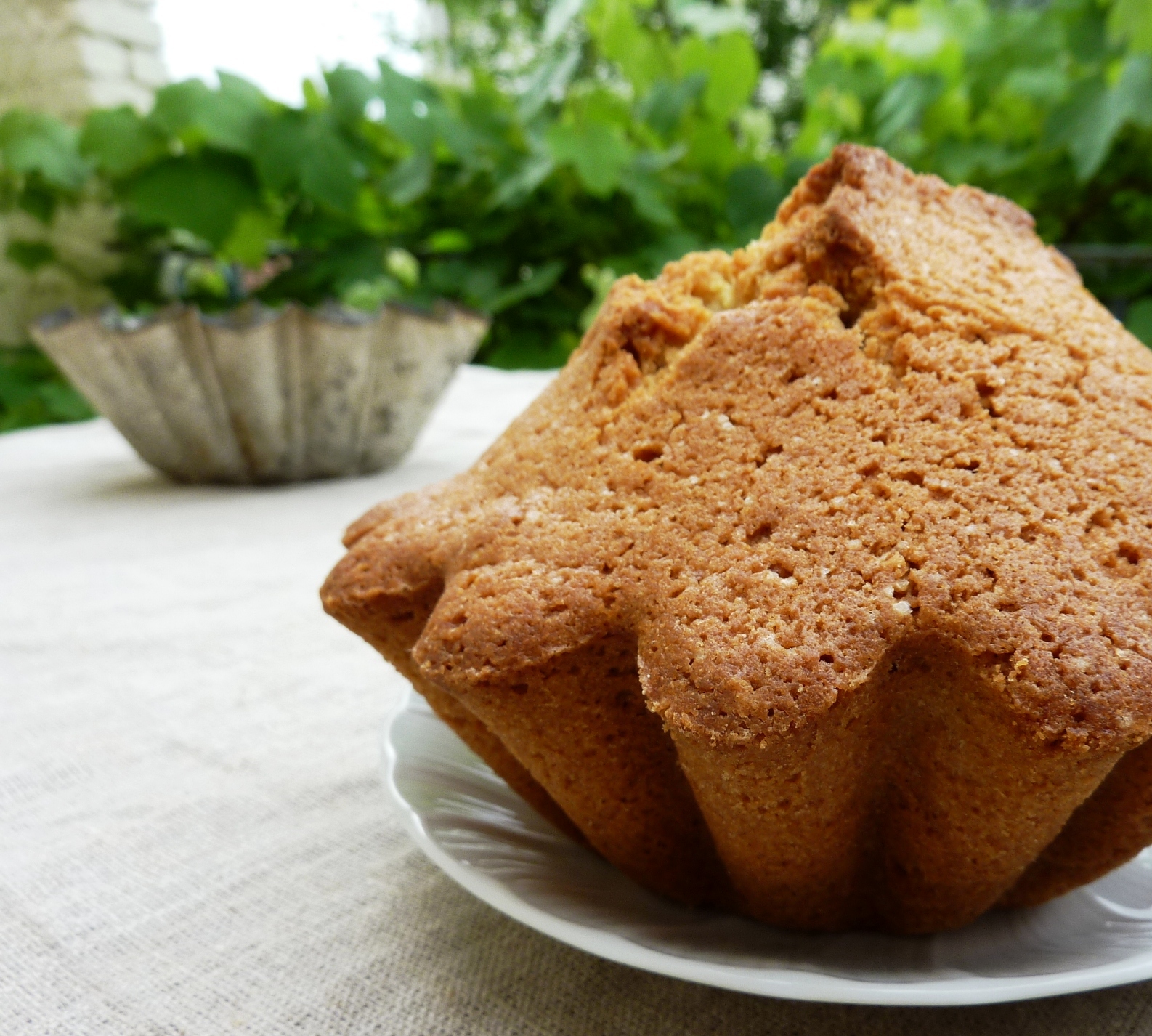 Tourte des Pyrénées