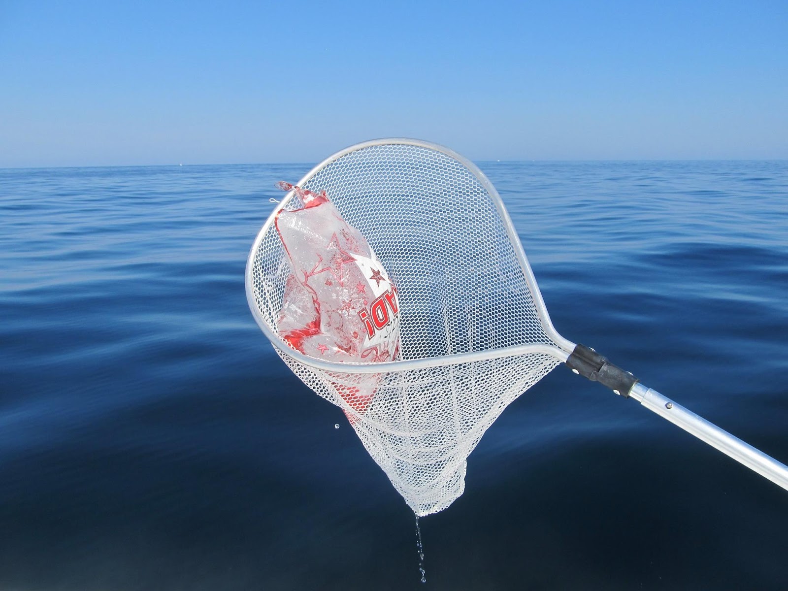 The Plastic Ocean Project: 2017