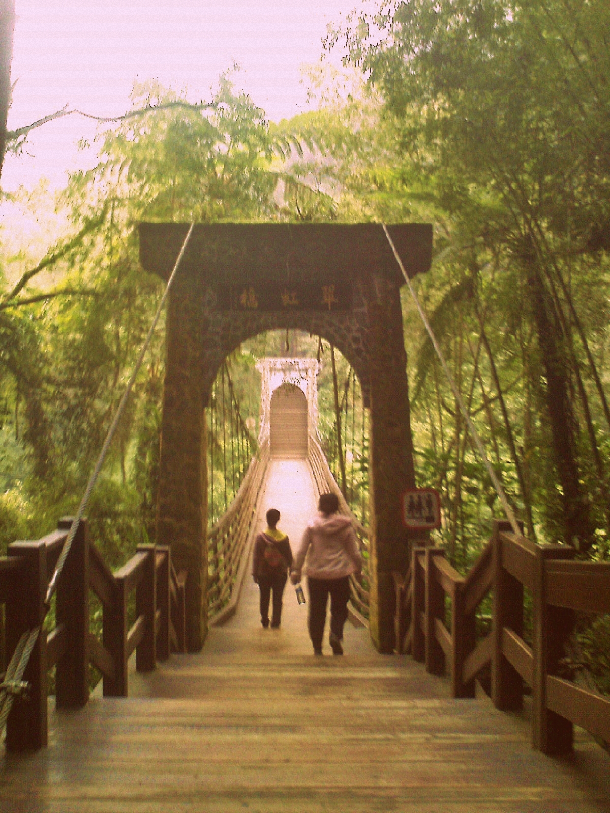 Wander Girl: Xitou Forest Recreation Area