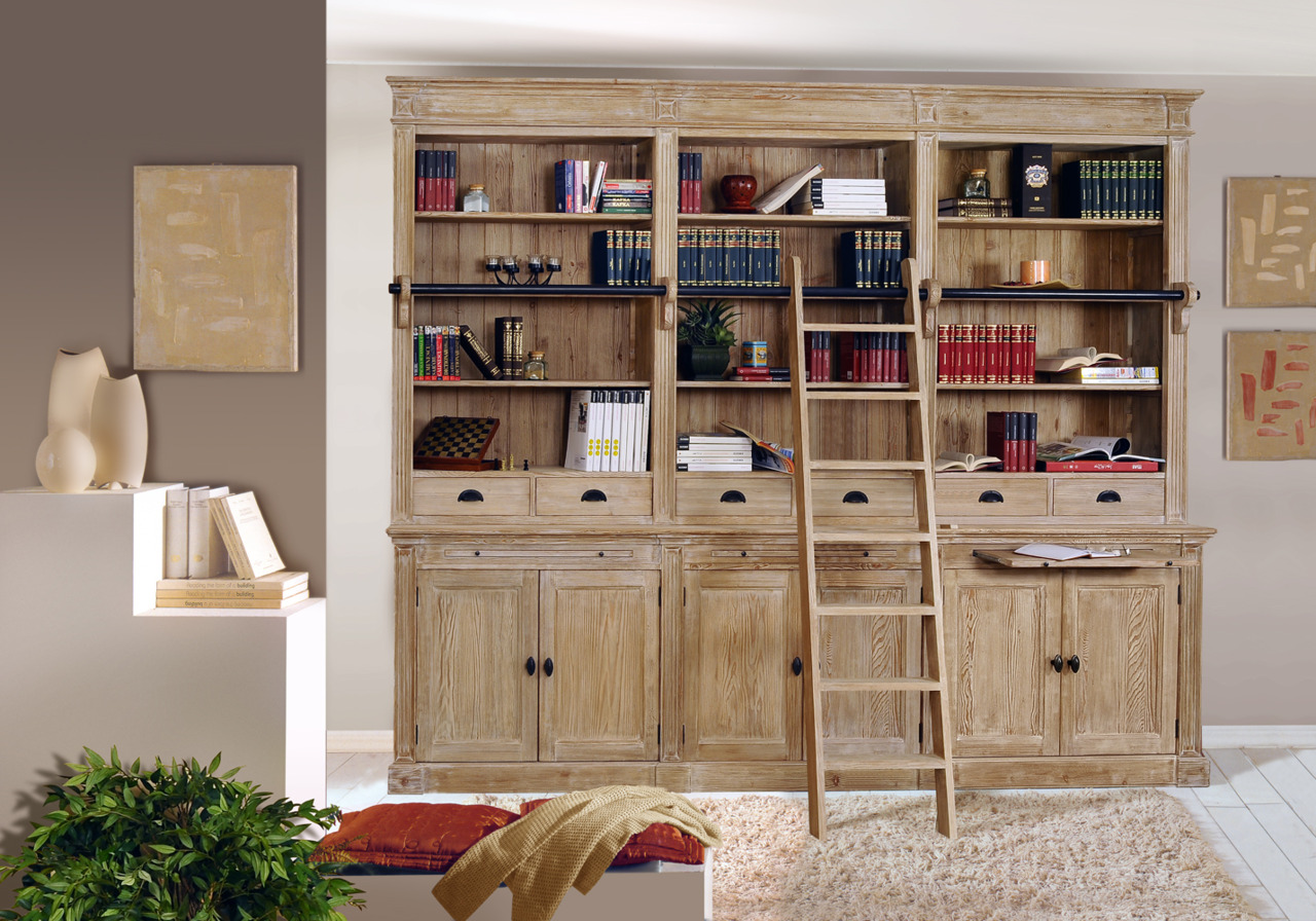 Content in a Cottage: Library Cupboard with Ladder | Wonderful