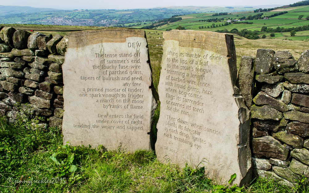 Saltaire Daily Photo: The Dew Stones