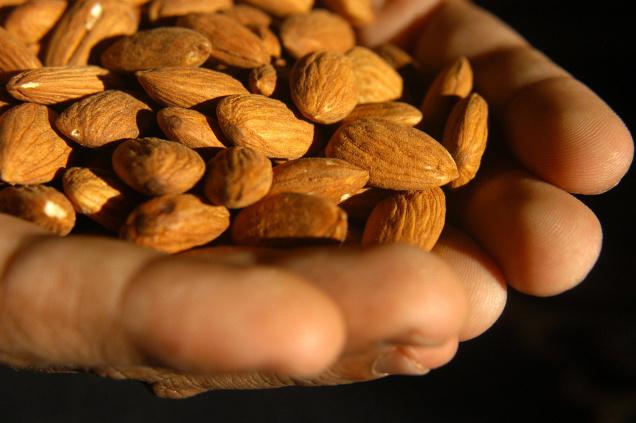 Free Images: Energy Giving Foods