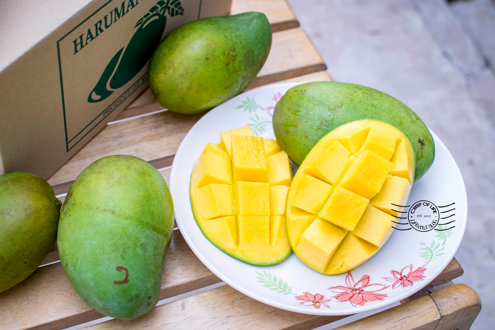 Harumanis Perlis - Crisp of Life - Penang Food & Travel Blogger