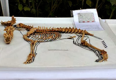 antrophistoria: Los antiguos habitantes de Lima, de hace mil años, se ...