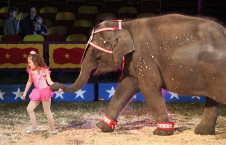 THE BALLOON MAN: COLE BROS CIRCUS