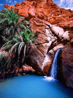 Five of the most beautiful Oasis in the world | The True Adventures