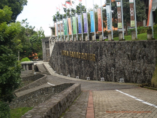 Ubaya Training Center ~ Kucing Masih Belajar
