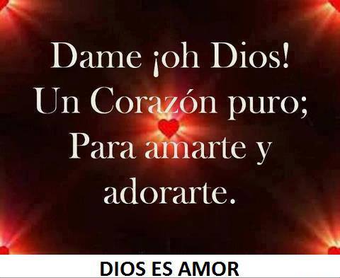 Un corazón puro ~ Mejores Mensajes