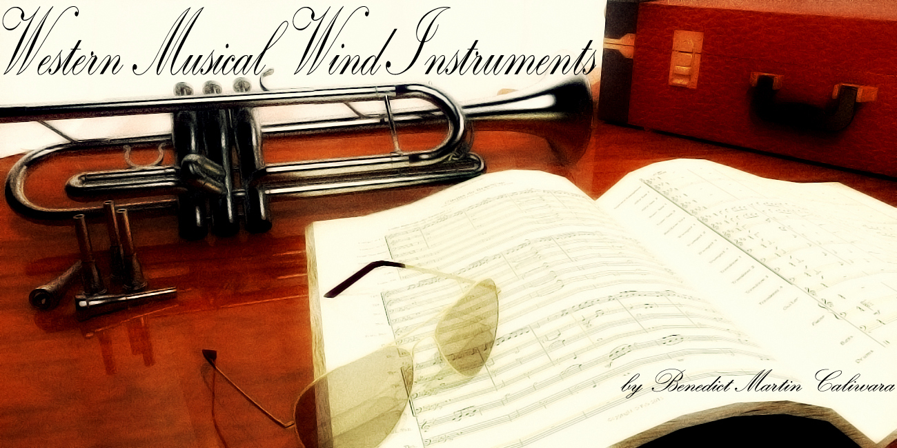 Western Musical Wind Instruments: Visual Presentation