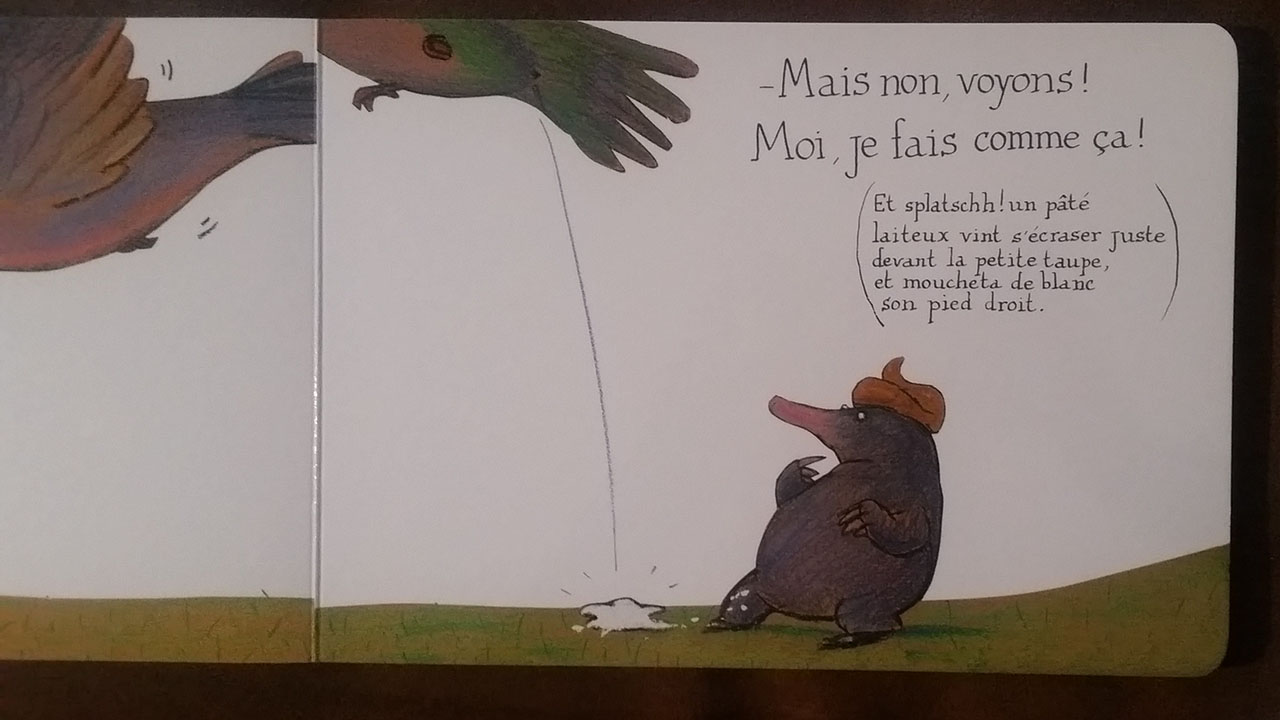 Histoire : De la petite taupe qui voulait savoir qui lui avait fait sur ...