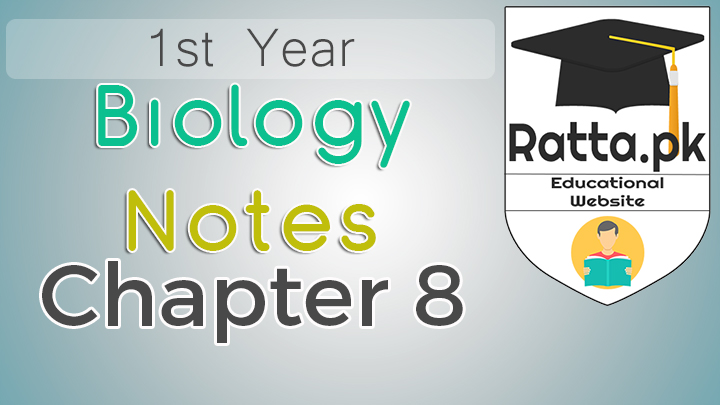 1st Year Biology Notes Chapter 8 Kingdom Fungi - 11th Class Bio Notes ...