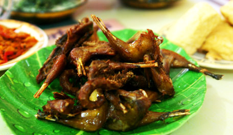 Burung Ruak-Ruak, Burung Sawah Yang Sangat Lezat | ANEKA BURUNG