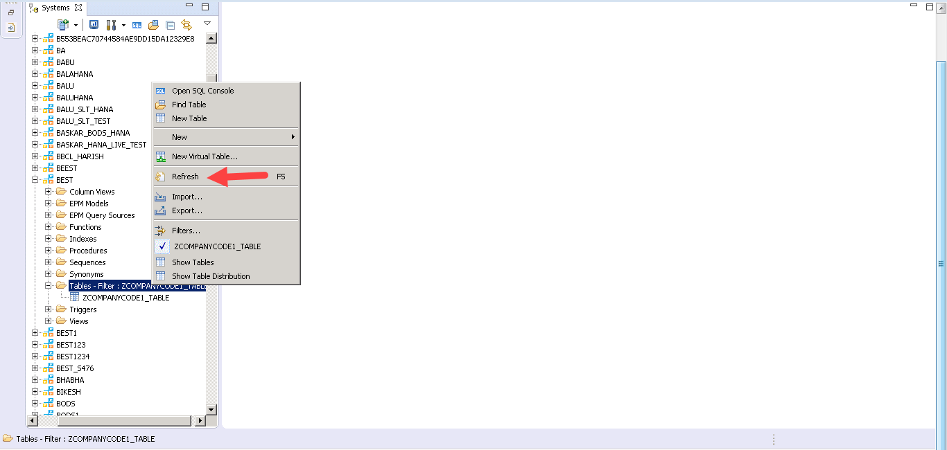 SAP TECH: Implementing Basic Cleanse in Data Services