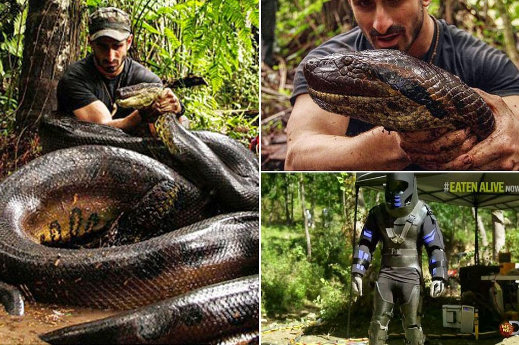 GIANT ANACONDA ATTEMPT TO EAT ANIMAL EXPERT ON LIVE TV
