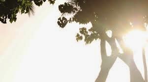 Breslov Center: The Purpose of Life