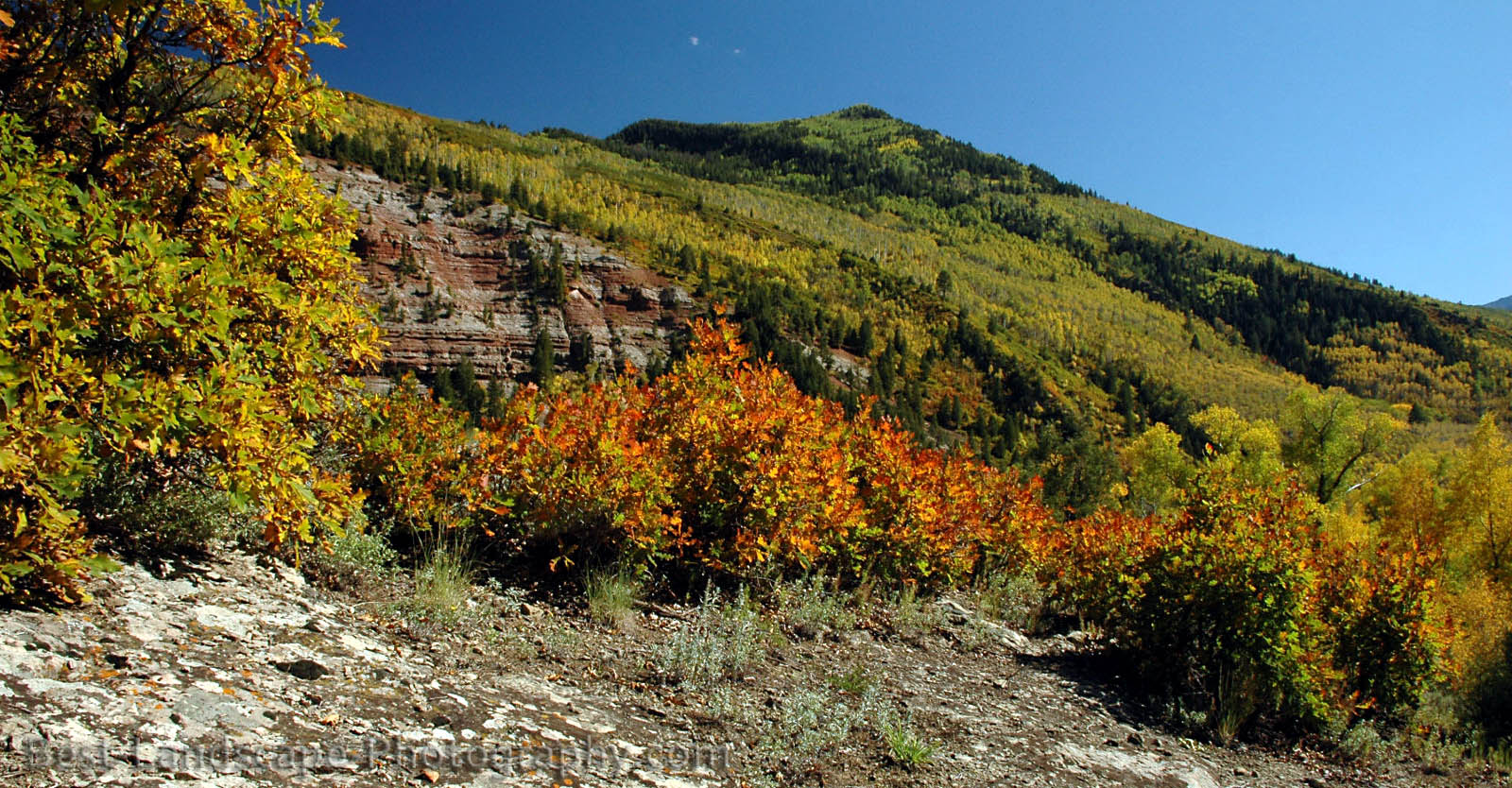Colorado Wilderness - Hiking and Camping in the Backcountry: The ...