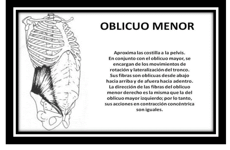 Educación Física Nuestra Señora del Carmen