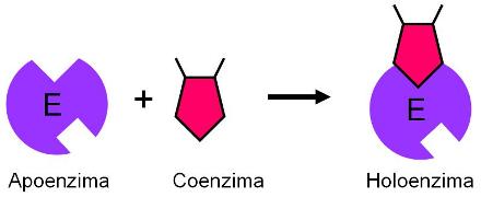 Untitled at emaze Presentation