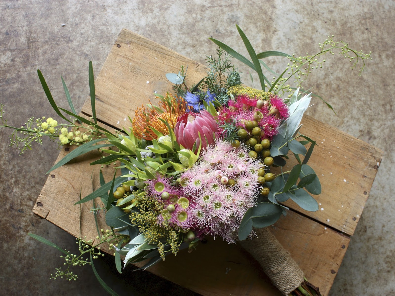 Swallows Nest Farm: February Flowers