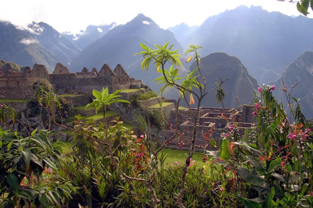 Machu Picchu: Diverse Perspectives ~ Kuriositas
