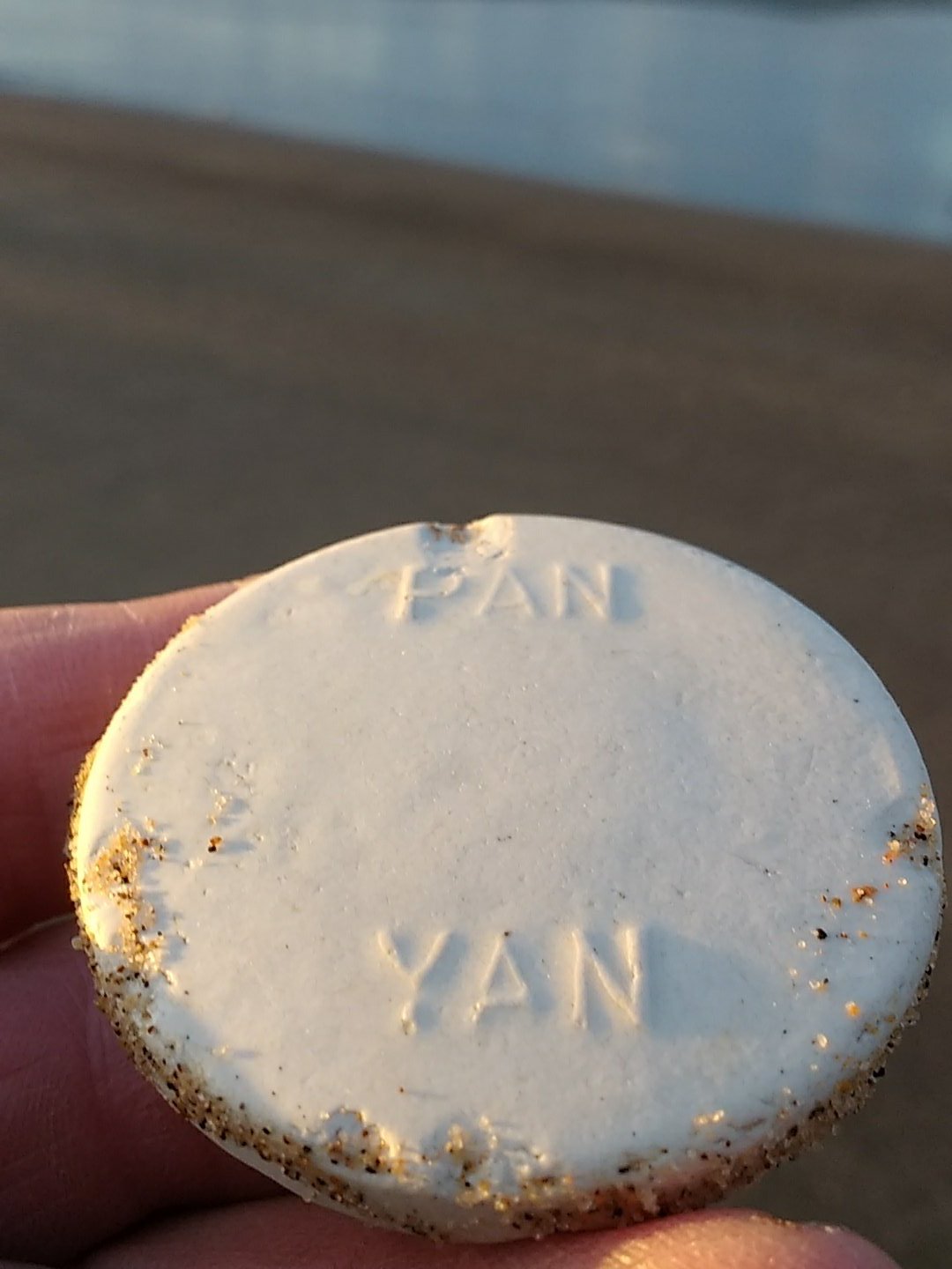 Life's A Beach. The Driftwood Lectures... : WINDSWEPT SEATON CAREW ...