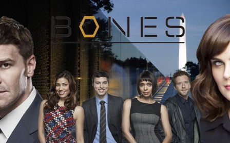 Television Swagger: Bones Season 8 Episode 13 "The Twist in the Plot ...