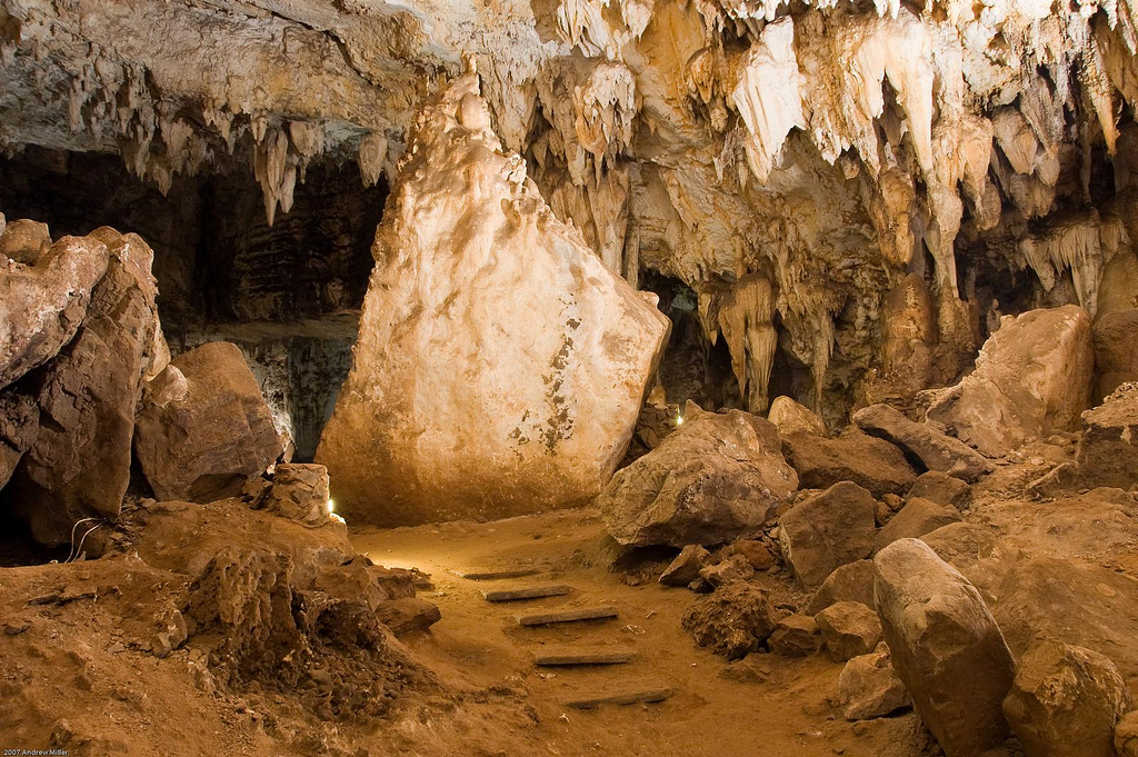 Patrimonio de la Humanidad: Sitio de homínidos fósiles de Sudáfrica 1999