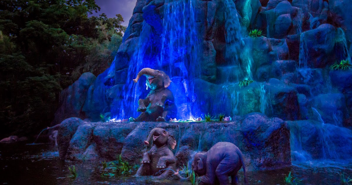 Disney Photoblography